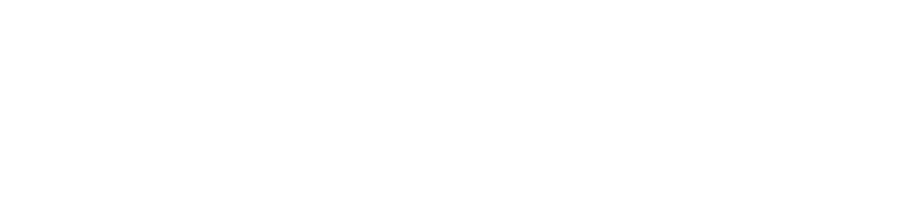 Borderliner | Netflix Official Site