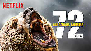 72 Dangerous Animals: Latin America | Netflix Official Site