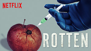 Explained | Netflix Official Site