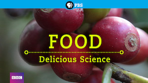 Food Shows | Netflix Official Site