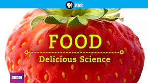 Food Shows | Netflix Official Site