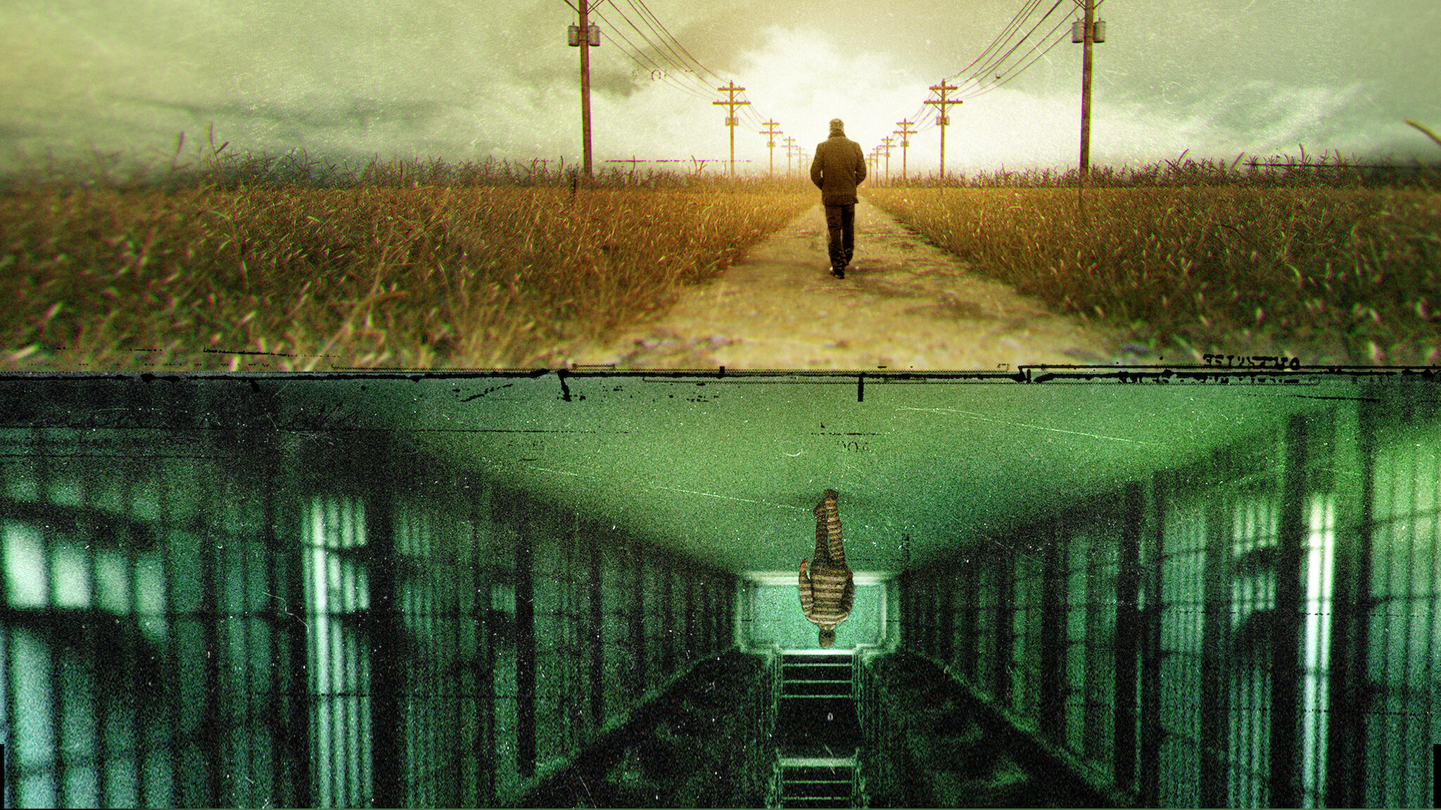 Watch The Innocence Files | Netflix Official Site