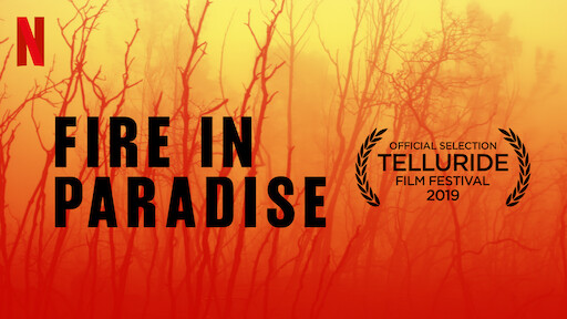 Watch The Volcano: Rescue from Whakaari | Netflix Official Site