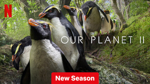 Watch Unknown: The Lost Pyramid | Netflix Official Site