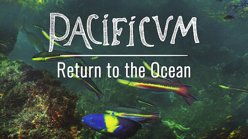 Watch Guatemala: Heart of the Mayan World | Netflix