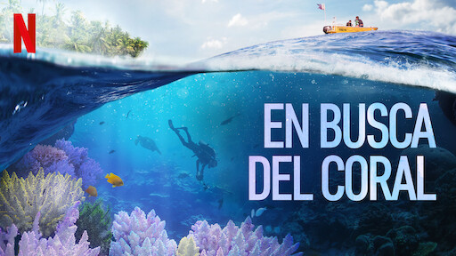 Puff: Wonders of the Reef | Sitio oficial de Netflix