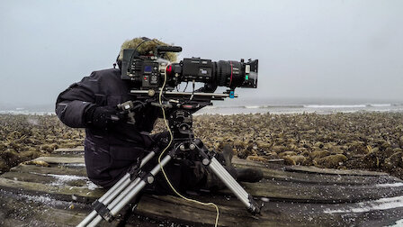 Watch Our Planet | Netflix Official Site