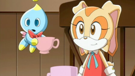 Watch Sonic X | Netflix