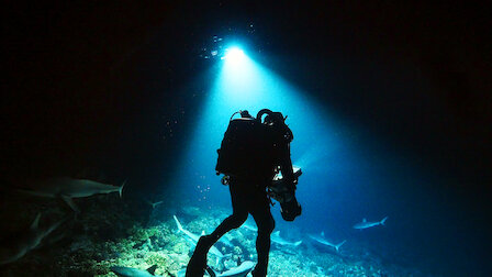 Watch Our Planet | Netflix Official Site