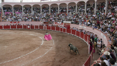 Watch Chelsea | Netflix Official Site