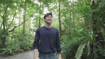 Watch Hook | Netflix