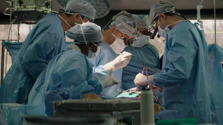 Watch The Surgeon's Cut | Netflix Official Site