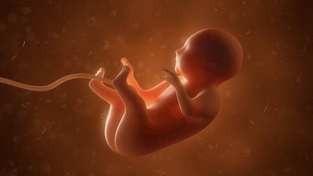 Watch Human: The World Within | Netflix