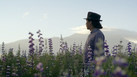 Watch Magical Andes | Netflix Official Site