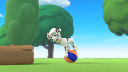 Watch PAW Patrol | Netflix