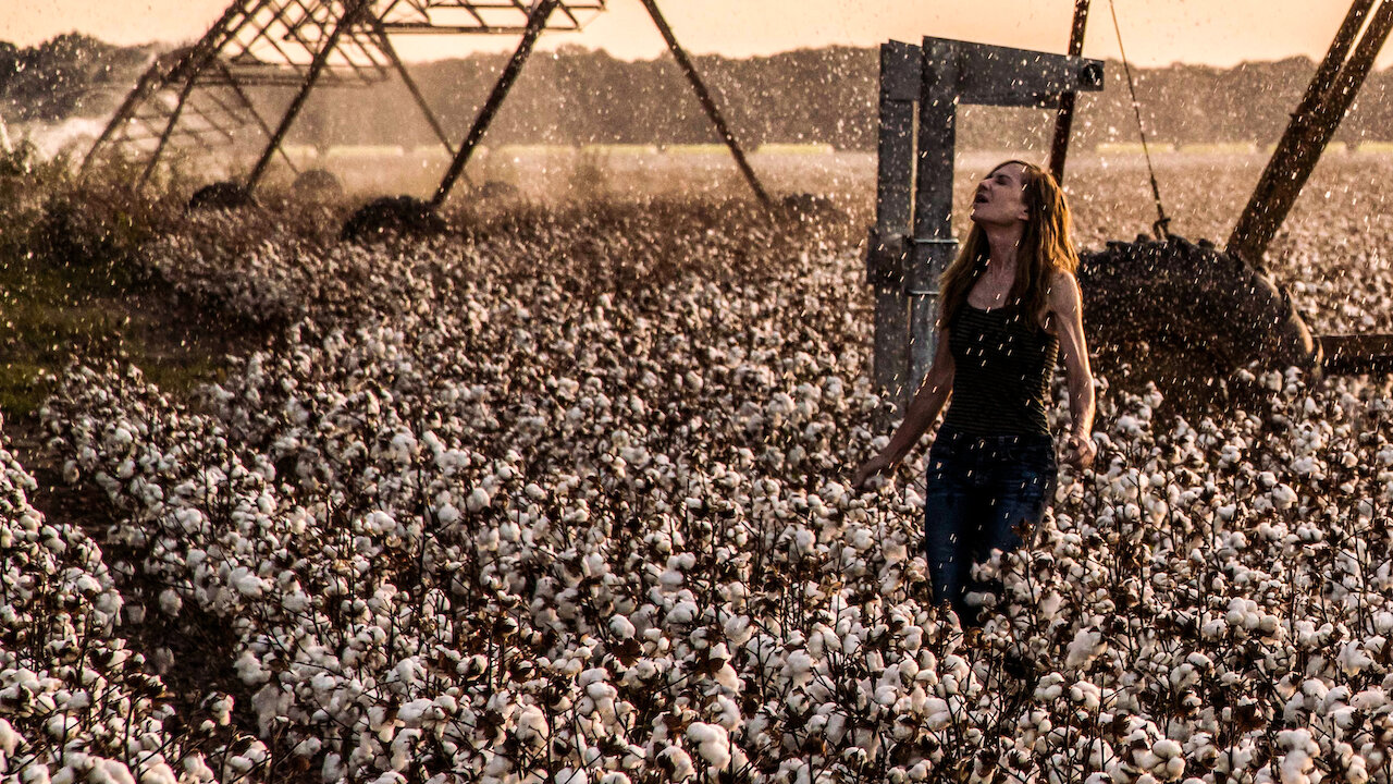 Watch Strange Weather | Netflix