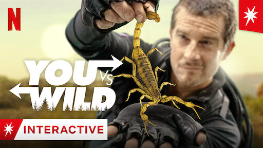 Watch You vs. Wild: Out Cold | Netflix Official Site
